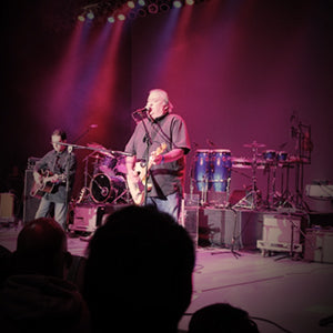 Artist Spotlight - David Hidalgo – Quilter Laboratories