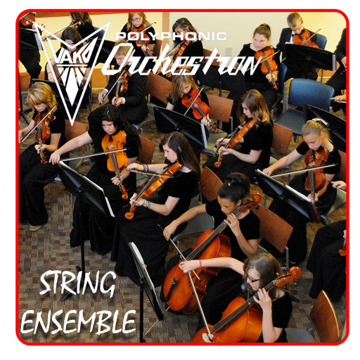 String Ensemble - Orchestron Disc – Quilter Laboratories